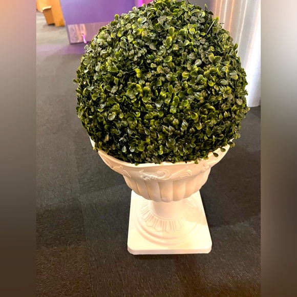 Party Supplies | Great For Your Next Garden Party 8 Available For 8 ...